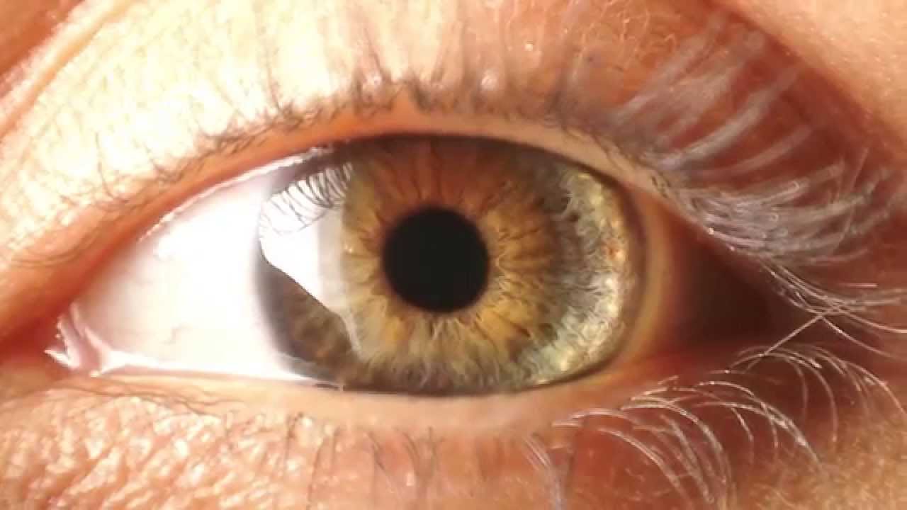 Modtech Global Brand Video - YouTube