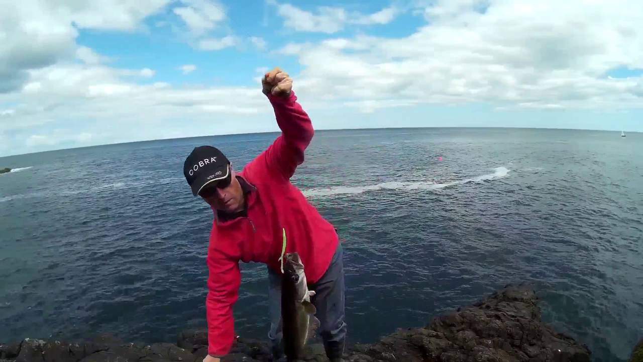 Lure fishing for pollack at St Abbs - YouTube