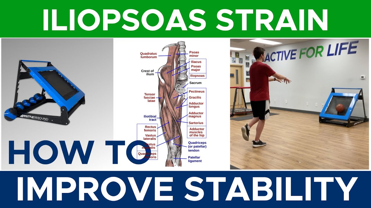 Hip Pain Rehabilitation: Improving Dynamic Hip Stability to Address ...