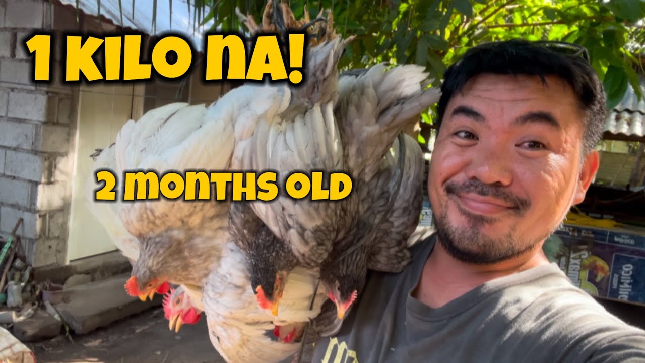 Two months old nasa isang kilo mahigit ang timbang - YouTube