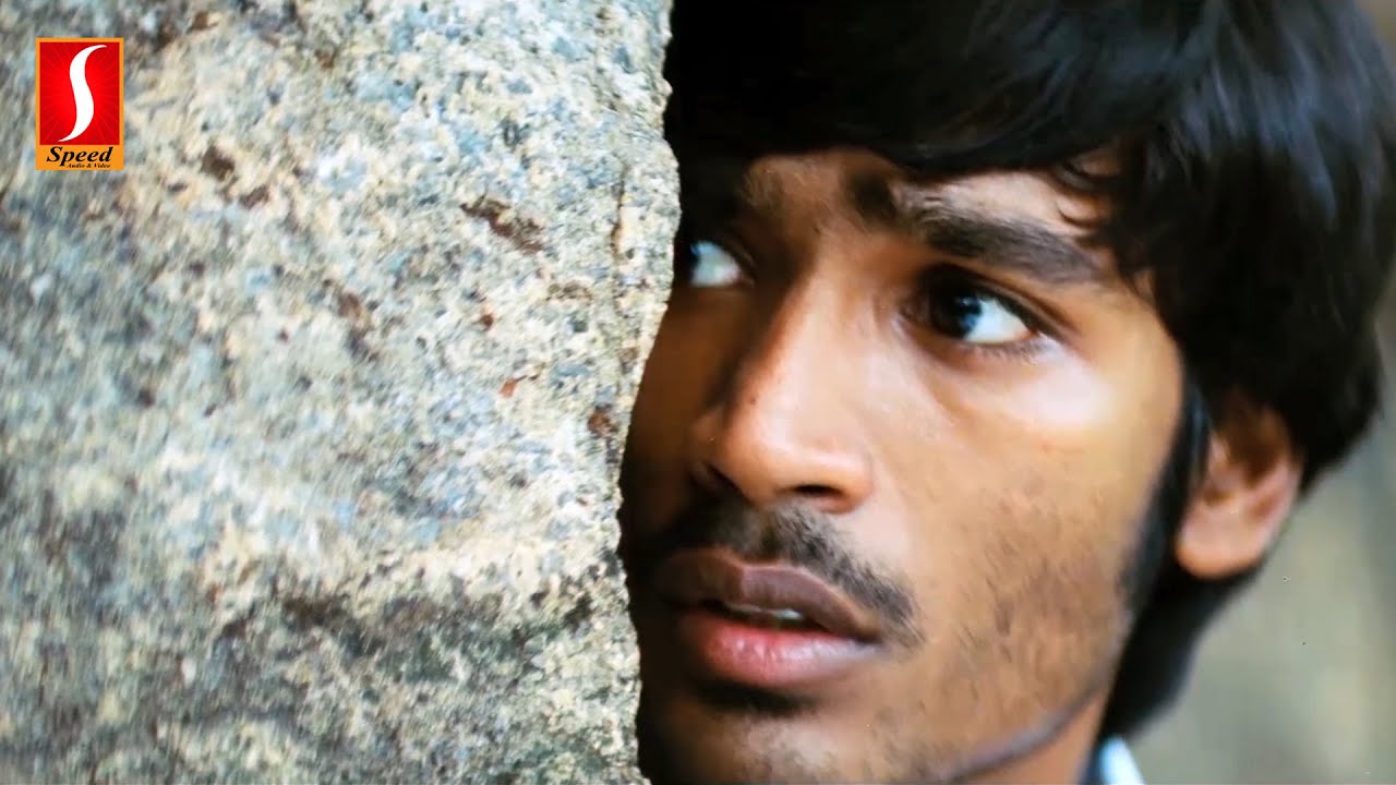 Rowdy Rudraya | Telugu Dubbed Romantic Movie Scenes | Dhanush ...