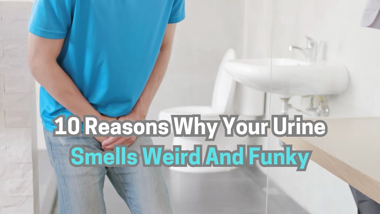 10 reasons why your urine smells weird and funky... #healthtips #health ...