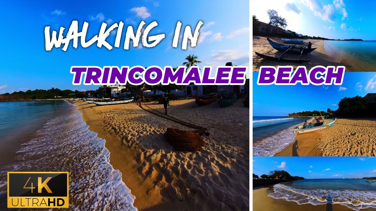 " Trincomalee Town Beach " 🏖 🏝 Walking Tour 😍🐾| 4K | #ASMR | No talking ...