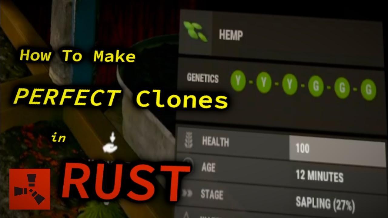 Master Cloning in RUST: Grow Hemp, Berries, and Food Efficiently in this Zero to Hero Guide ...