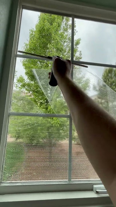 Window Cleaning - YouTube