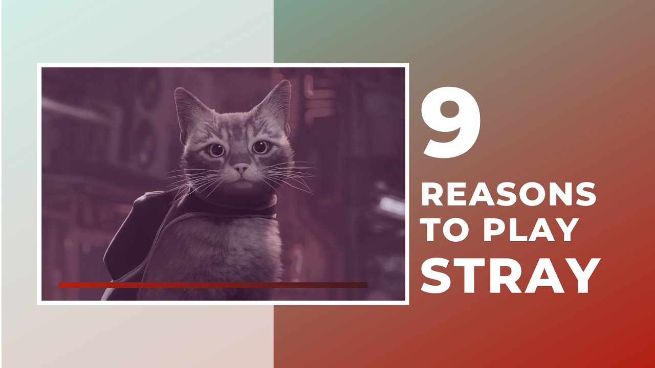 9 Reasons to Play STRAY | PC Gameplay Review - YouTube