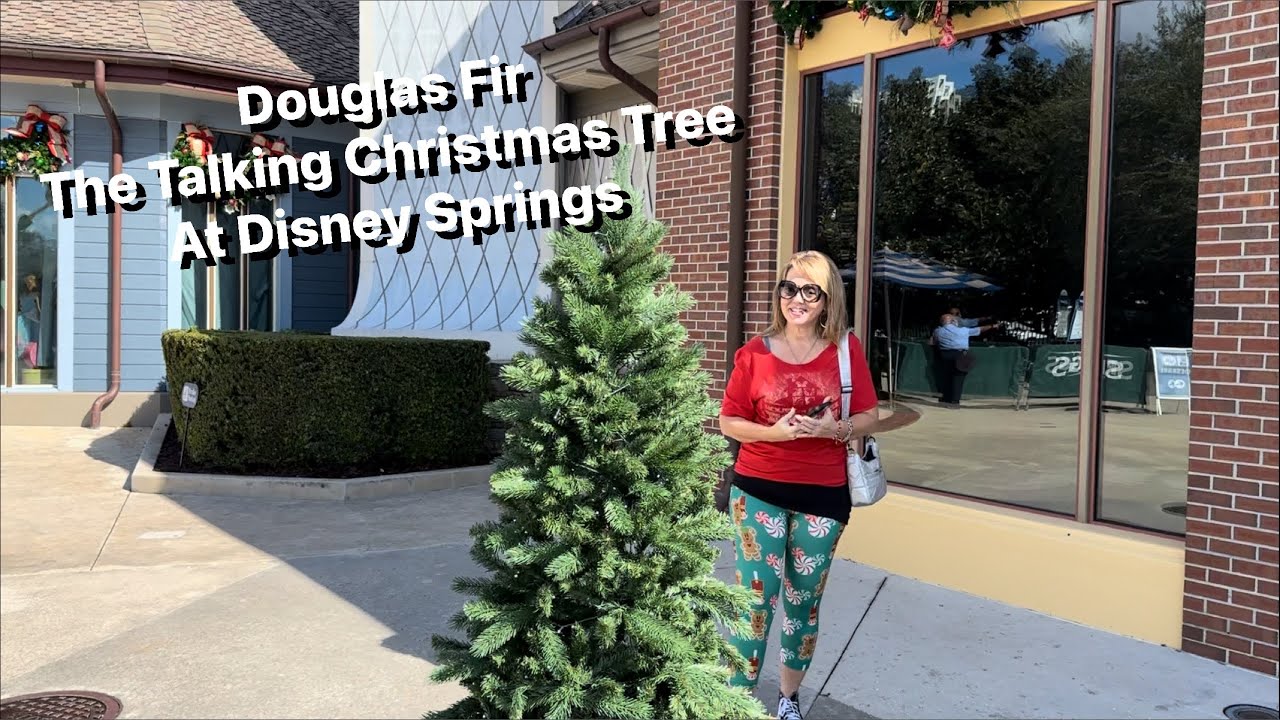 New Douglas Fir, the Talking Christmas Tree at Disney Springs ...