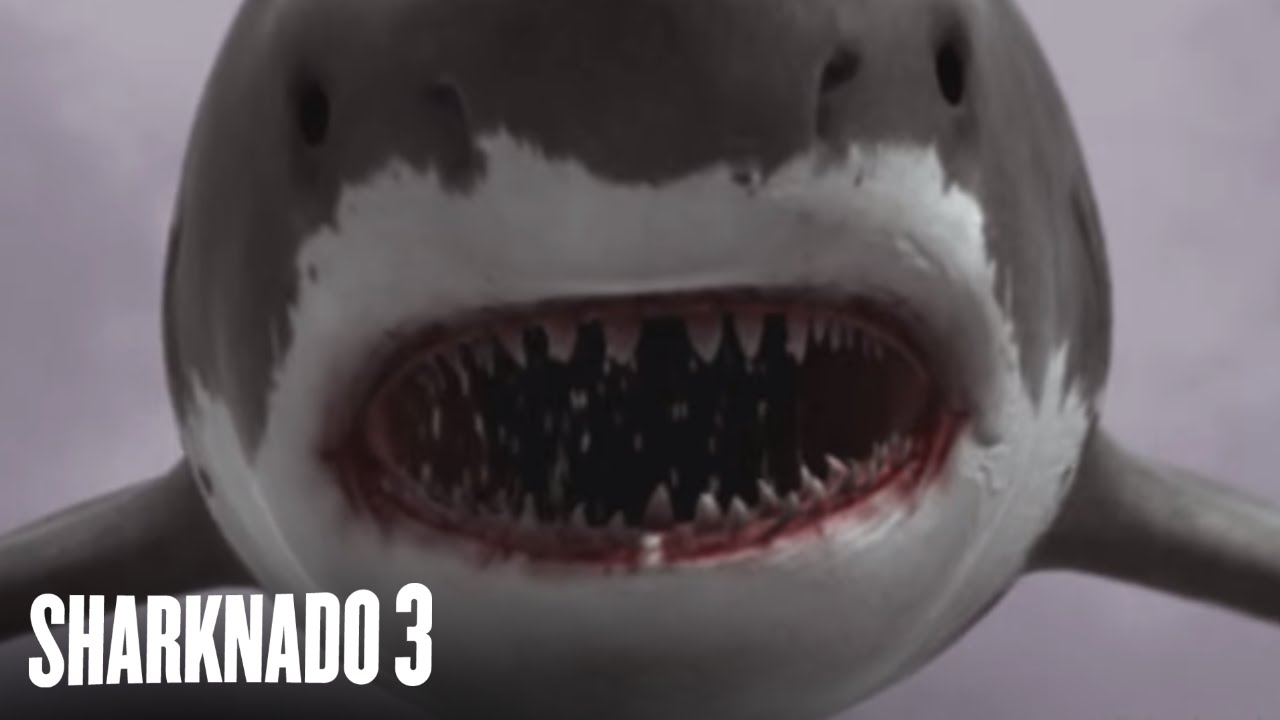 SHARKNADO WEEK Trailer | Sumnado Of Sharknado | SYFY - YouTube