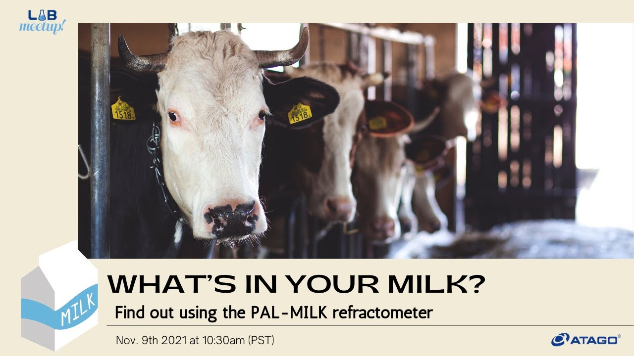 What's in your milk? Find out using the PAL-MILK refractometer - YouTube