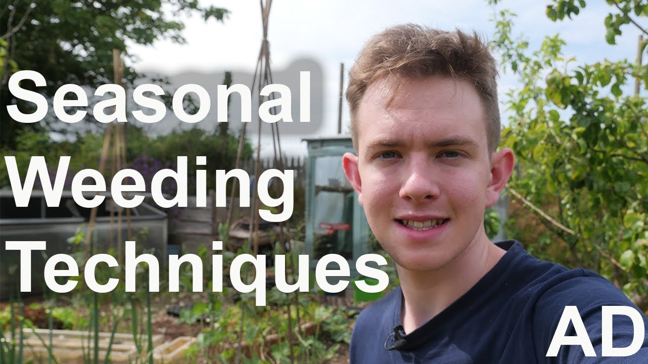 Ad | Seasonal Weeding Techniques | Weeding Tips Season By Season - YouTube
