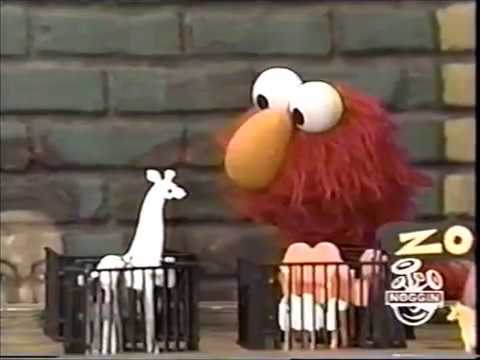 Sesame Street - Gordon brings Elmo and Miles to the zoo - YouTube