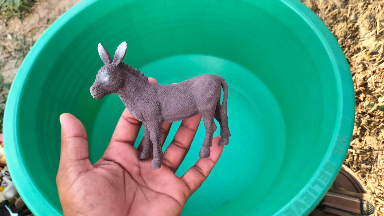 Plastic Animals Toys Unboxing Order Flipkart Donkey, Horse, T-rex ...