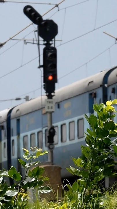 A Scene Worth More Than a Thousand Words #shorts - YouTube