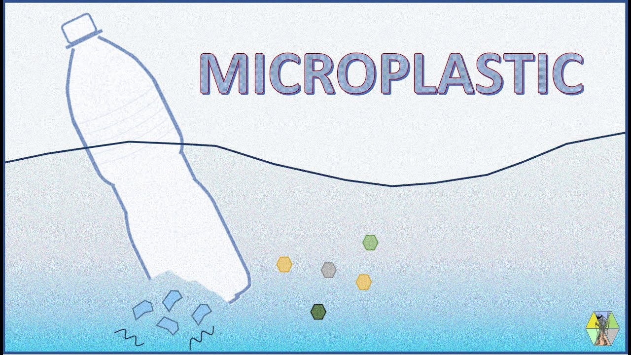 Microplastic In The Marine Environment | Facts 2 Go - YouTube