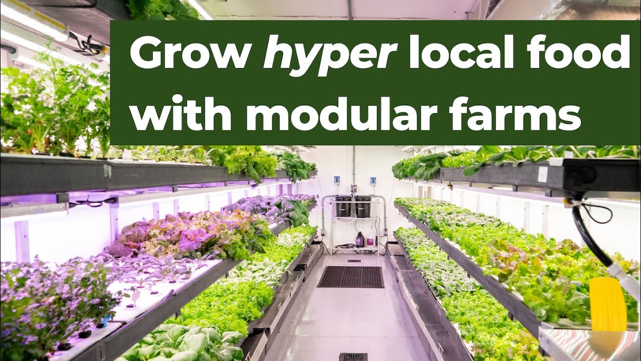 Grow local food in modular vertical farms - Growcer - YouTube