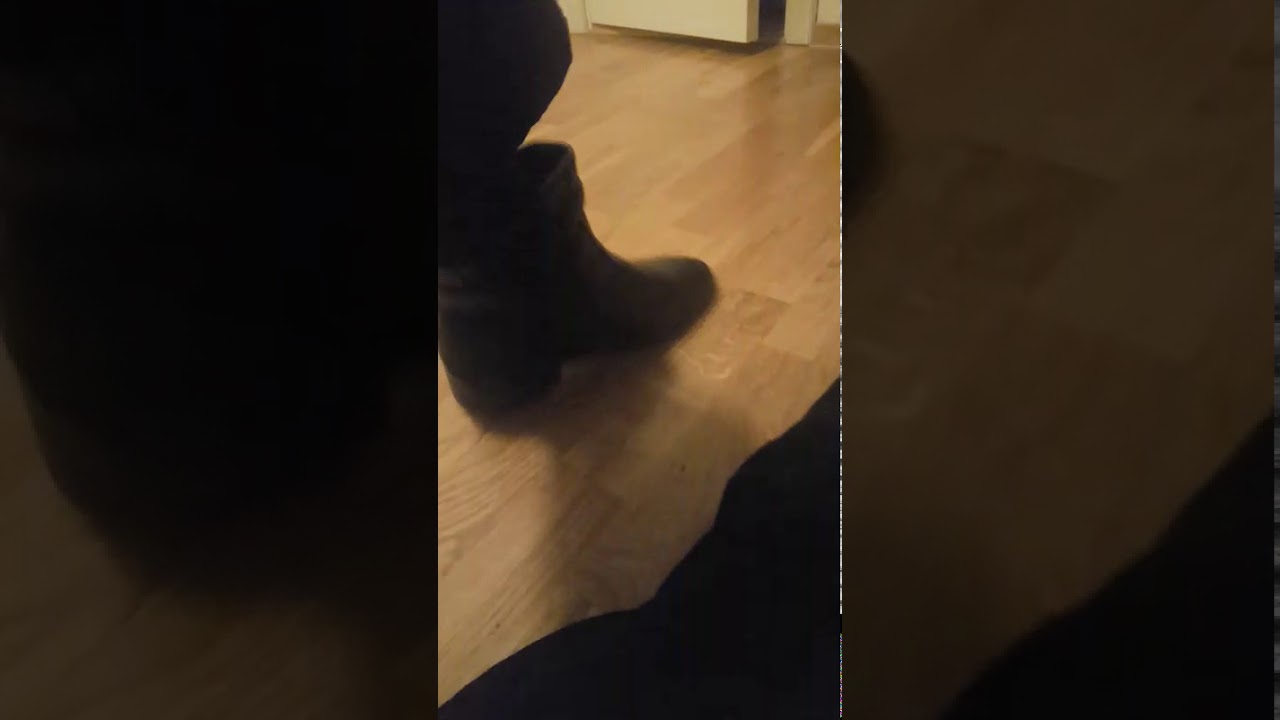 Bugs Getting Crushed - YouTube