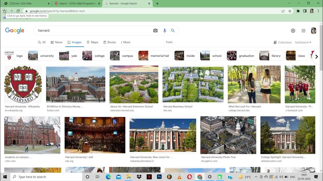 Project 0: search /CS50/Harvard/CS50’s Web Programming with Python and ...