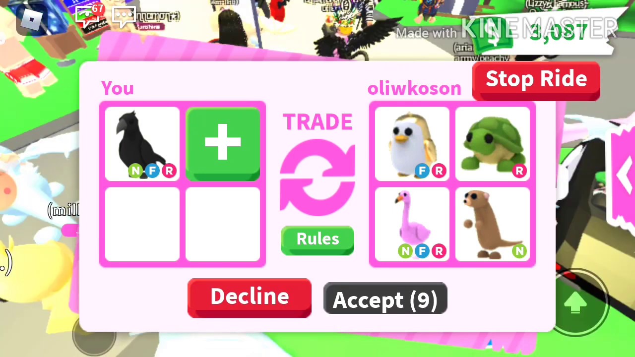 Offers for a neon crow/ Adopt me - YouTube