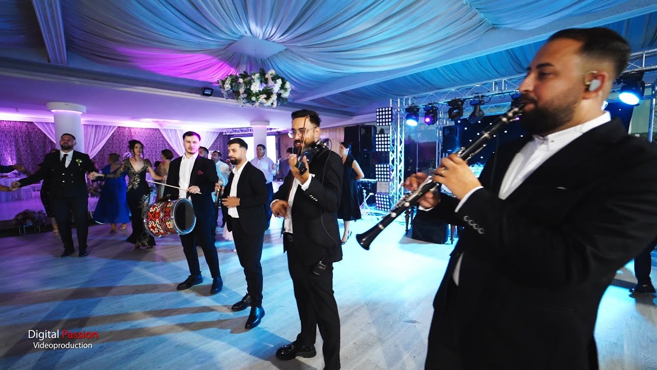 Banii mei la marita la bordei (Denis Ramniceanu LIVE la nunta) - YouTube