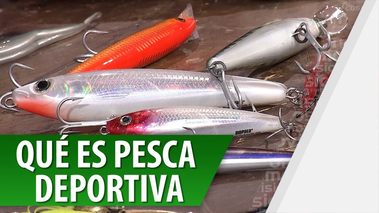 Qué es la pesca Deportiva - YouTube