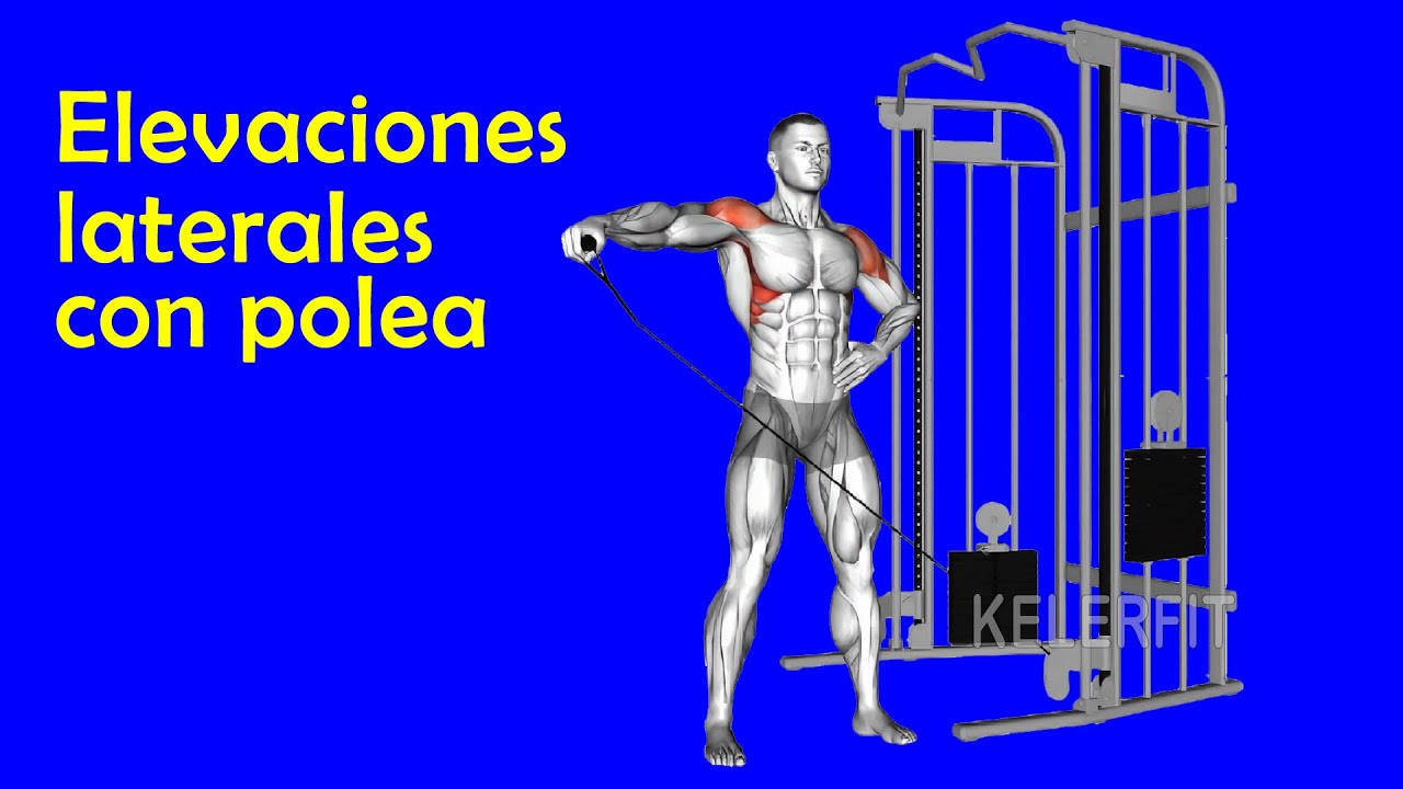 Ejercita los hombros con la rutina elevaciones laterales con polea ...