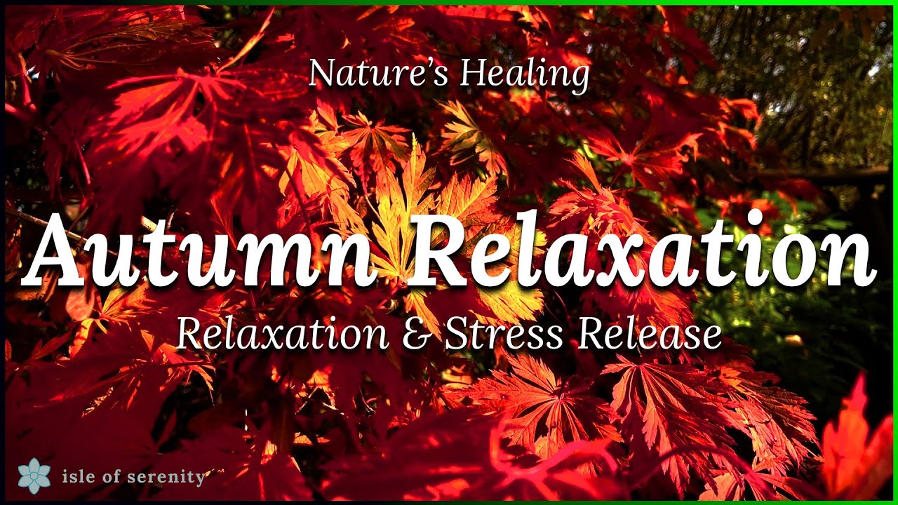 Autumn Relaxation - nature's healing - YouTube