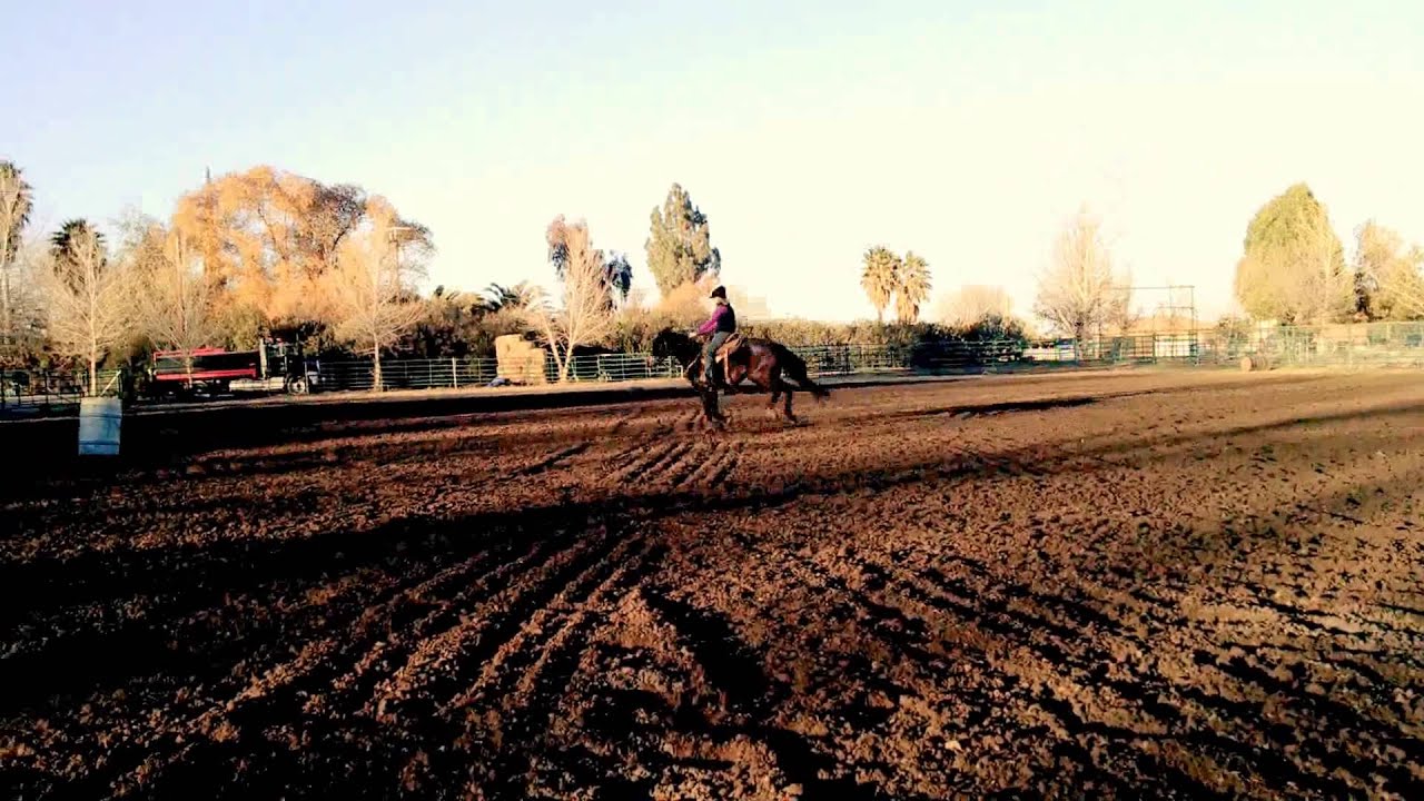 3 Year Old Loping Barrel Pattern - YouTube