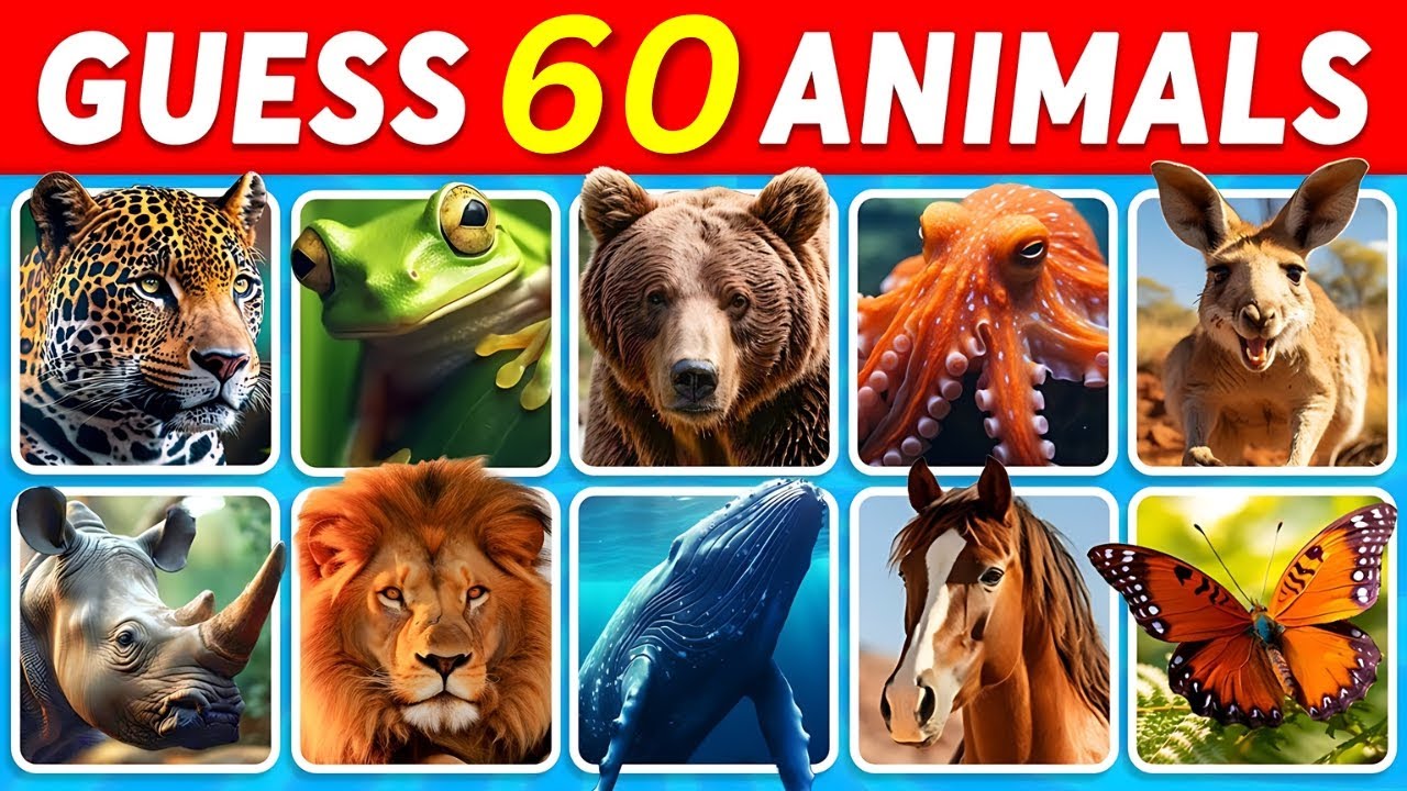 Guess 60 Animals🦁🐶🐼 With 4 Levels of Difficulty | Easy, Medium, Hard ...