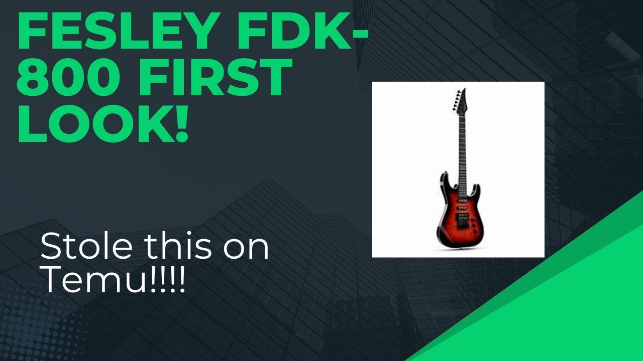 I Stole This Fesley FDK-800 Off Of Temu!!! - YouTube