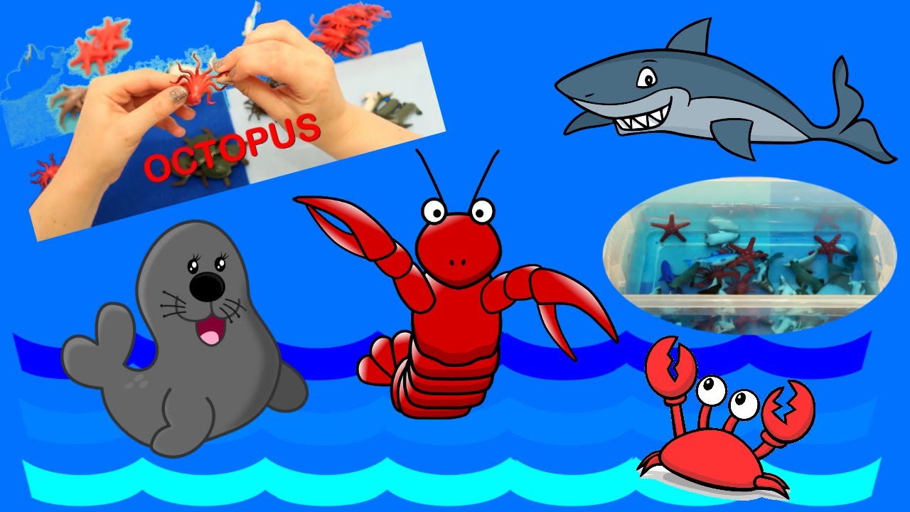 Learn Sea Animals names Water Play and More! by Fun Toys Channel Disney ...