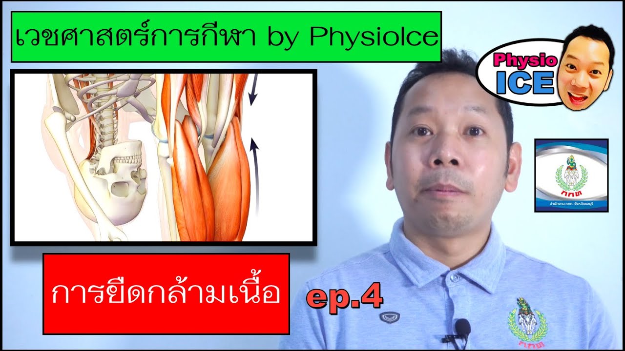 เวชศาสตร์การกีฬา by PhysioIce ep.4 ยืดกล้ามเนื้อ - YouTube