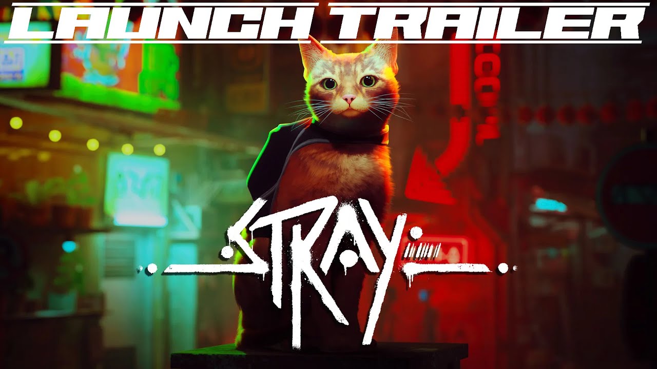 STRAY // Official Launch Trailer // 4K - YouTube