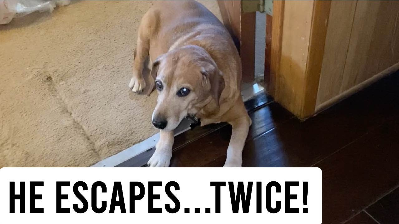 Episode 24: Hobo Gets a Bath - YouTube