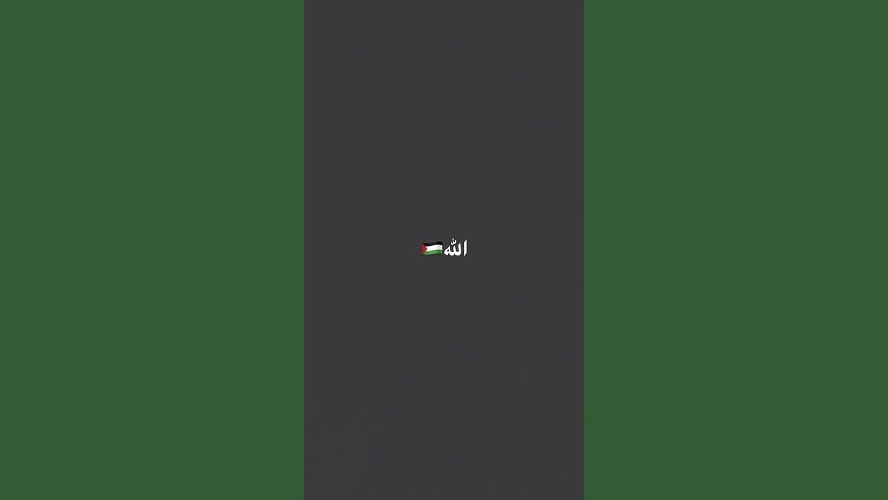 ٢٨ نوفمبر، ٢٠٢٤ - YouTube