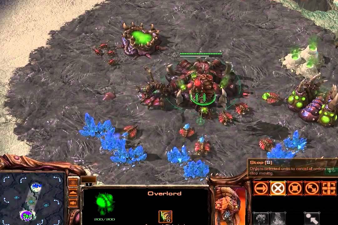 Mat 13 - Starcraft II - Mat (Zerg) VS bran (Terran) Part (1/2) Newbie ...