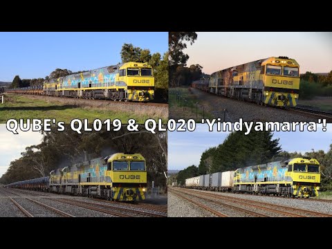 QL019 & QL020 "Yindyamarra" - QUBE's C44ACi QL Class Indigenous ...