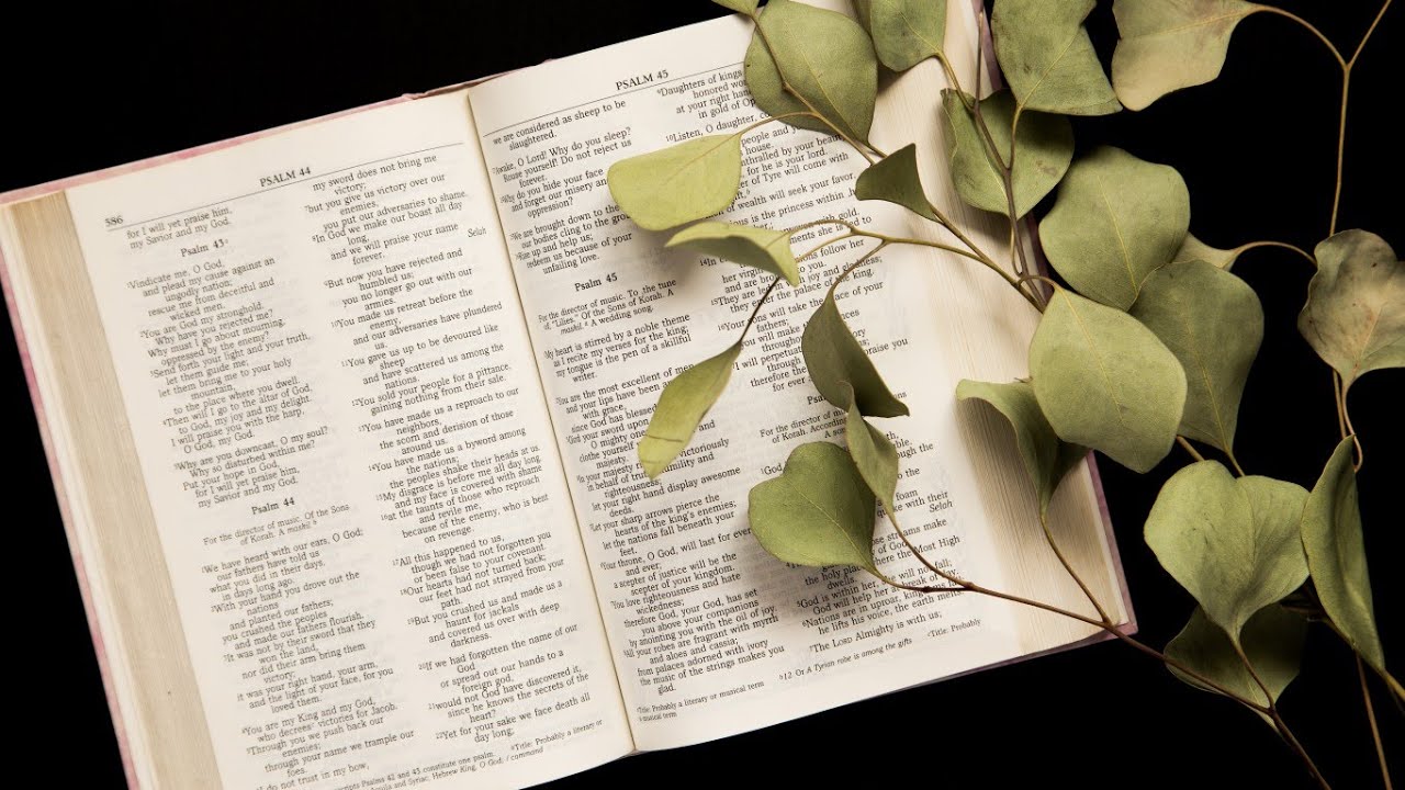 JOIN ME AS I READ SOME HOLY SCRIPTURE AND PRAY IN SPANISH FOR HEALING.🙏 ...