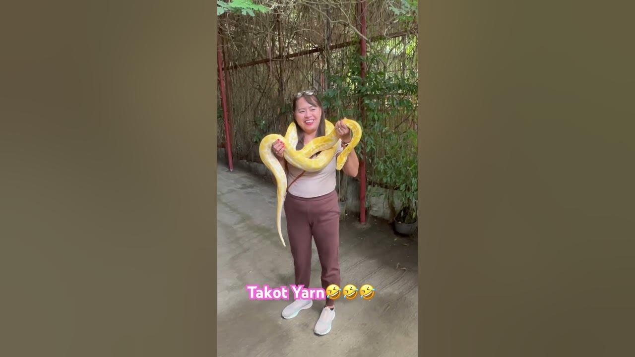 🌈🤣KINABAHAN AKO SA MALAKING PYTHON🤣🤣 #python #snake #scary #shorts # ...
