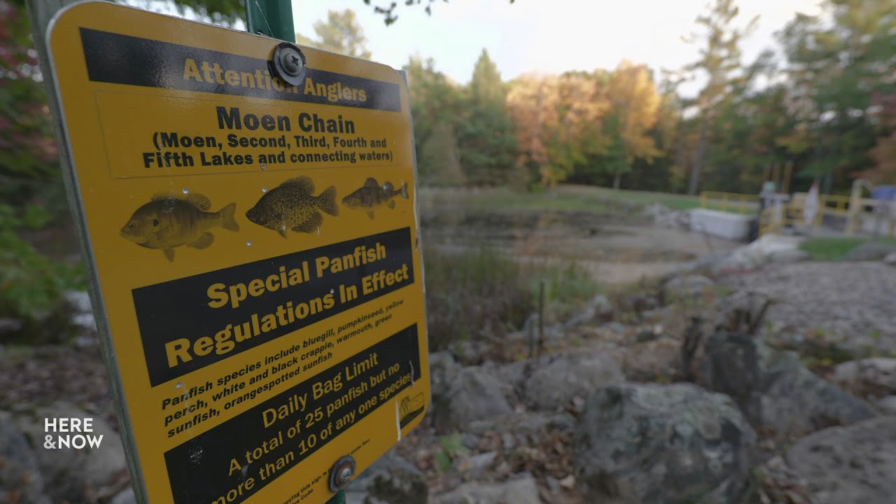 The northern Wisconsin town of Stella demands action on PFAS | Here ...