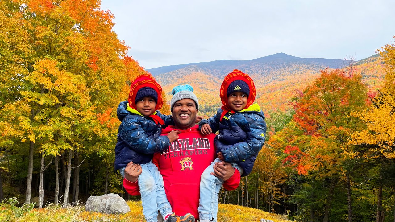 Science Behind Fall Color I Excited for Fall Foliage in New England ...