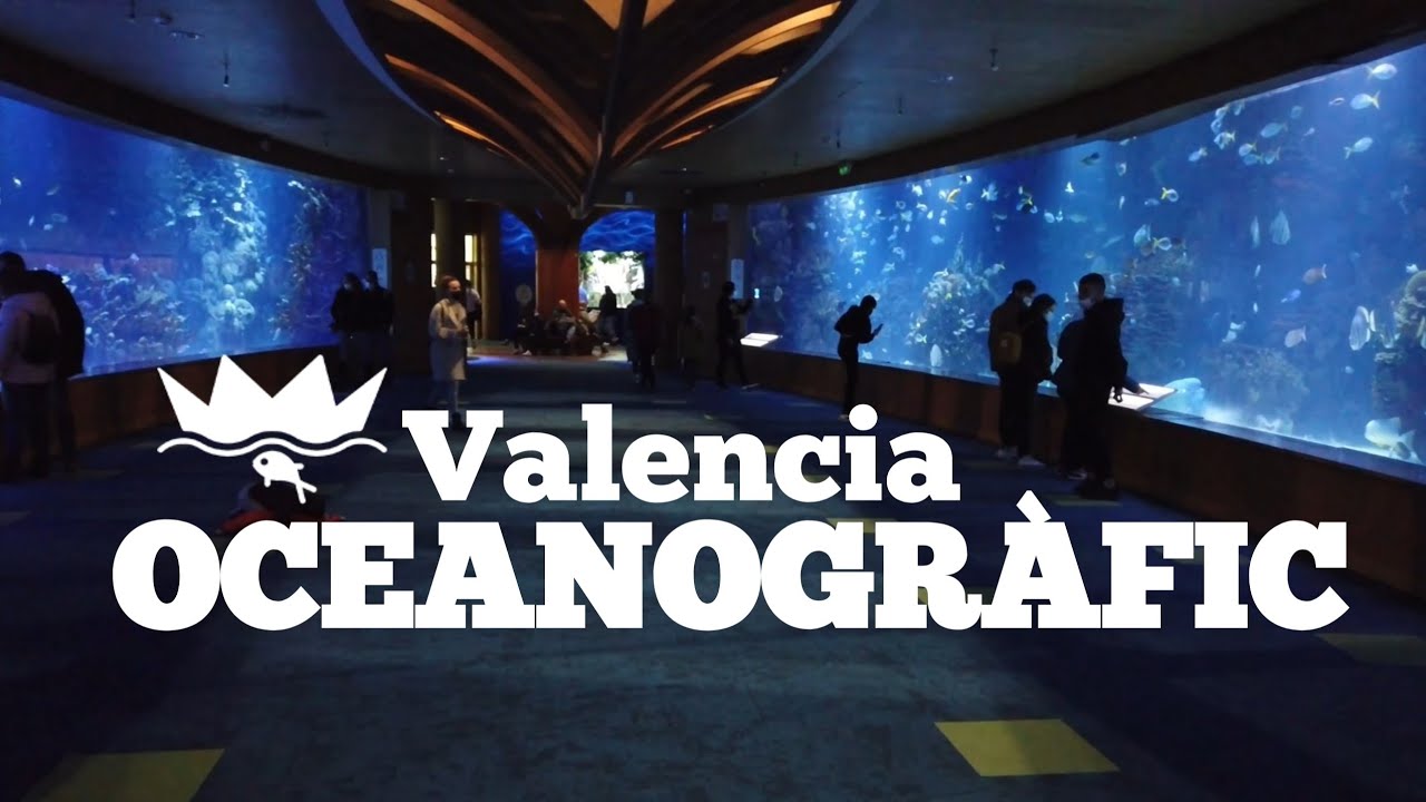 Valencia, Spain |🇪🇸| Oceanogràfic Aquarium - Oceanographic 4K - YouTube