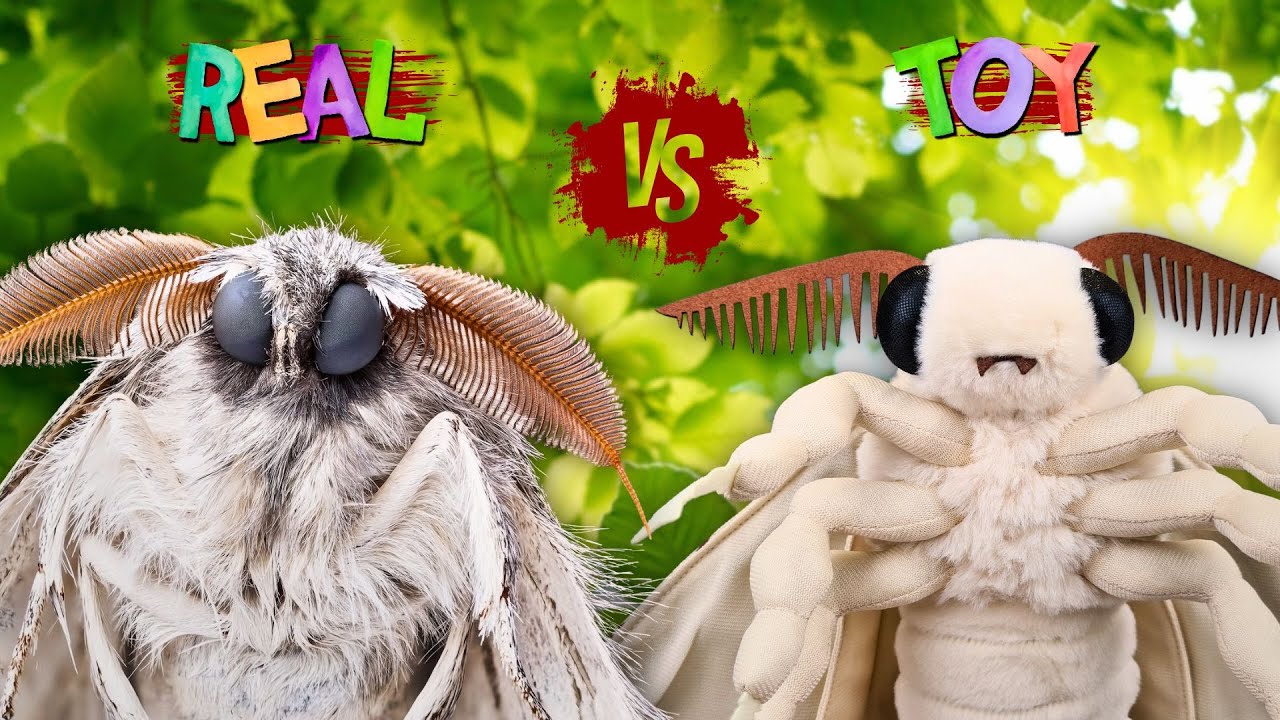 Adorable Realistic Silk Toy Moth Bombyx Mori Toy Review Youtube