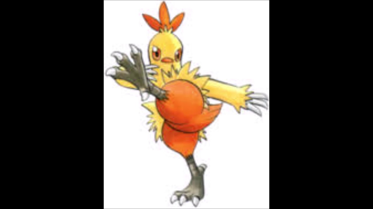 Making Pokemon Mascot Costume Ideas: Combusken (Fire/Fighting Type ...