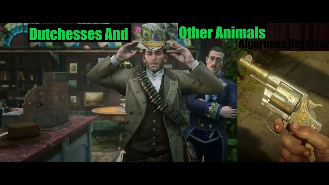 RDR2 Stranger Algernon Wasp (Duchesses And Other Animals I-VI) - YouTube