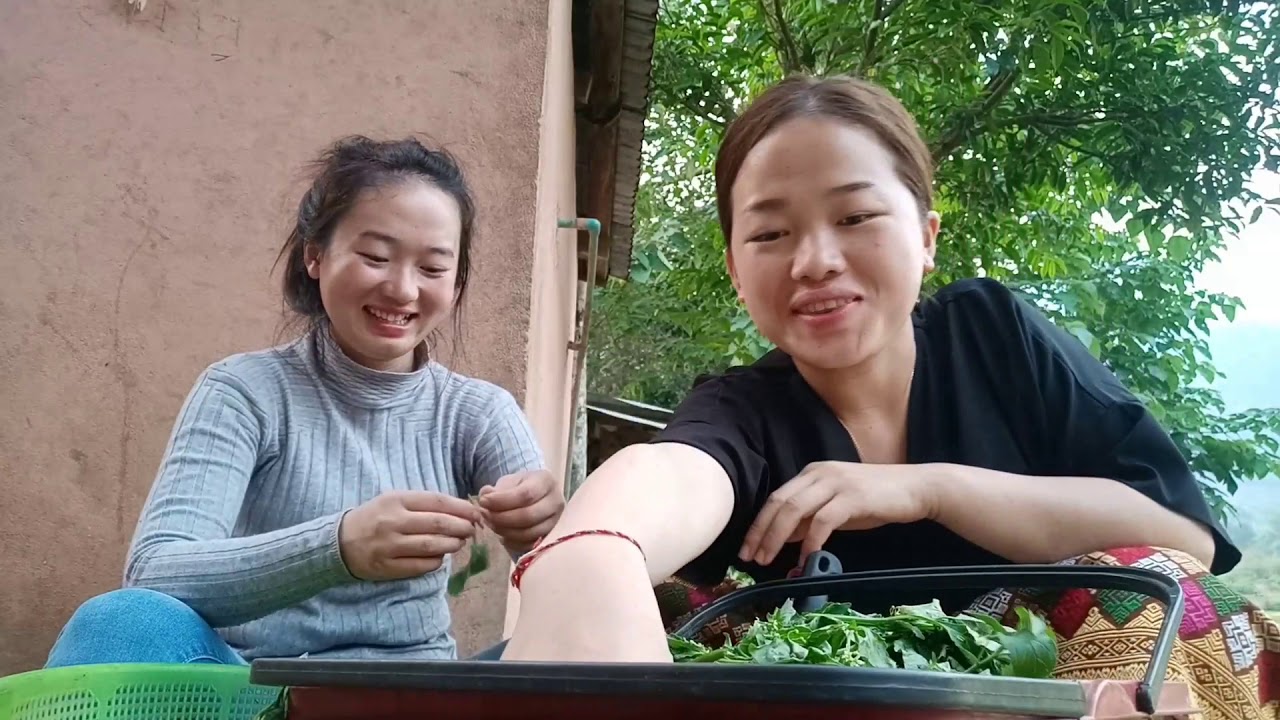 xia vaj txhem zaub iab hau ua hmo thiab tu niam hluas des zaub ntsi ...