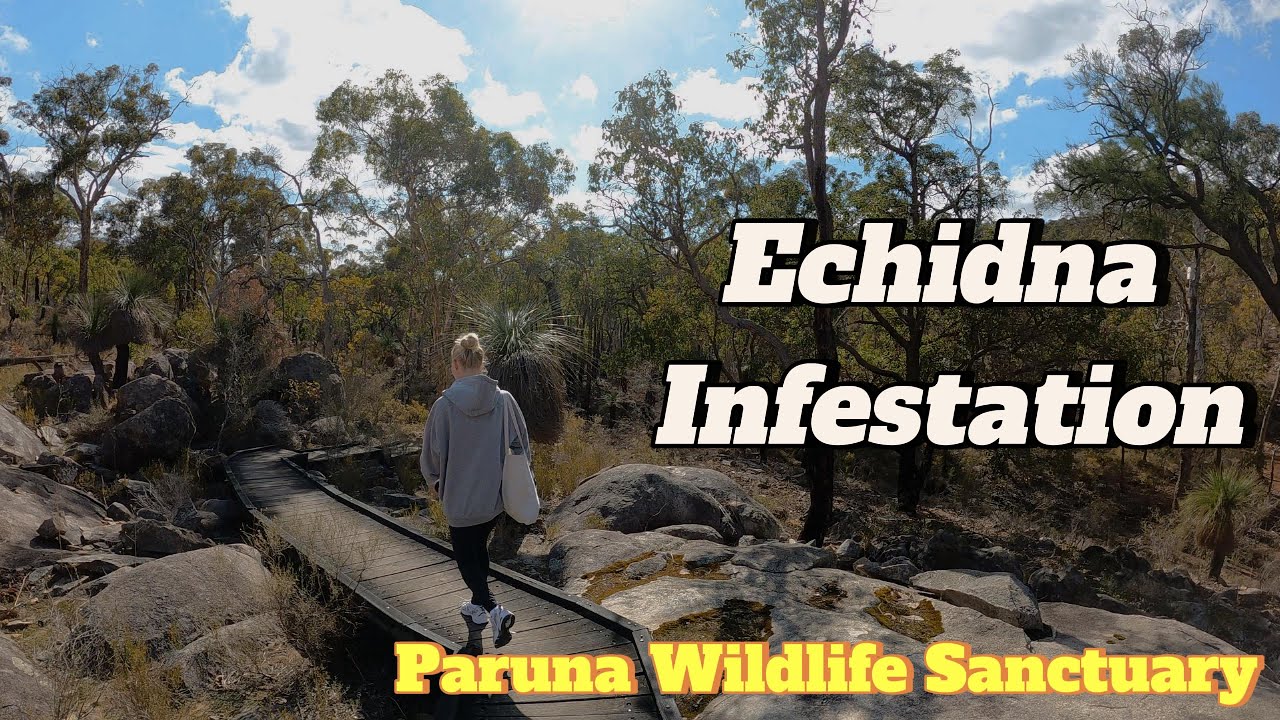 PERTH DAY HIKE - Paruna Wildlife Sanctuary - Perth Hills (Western ...