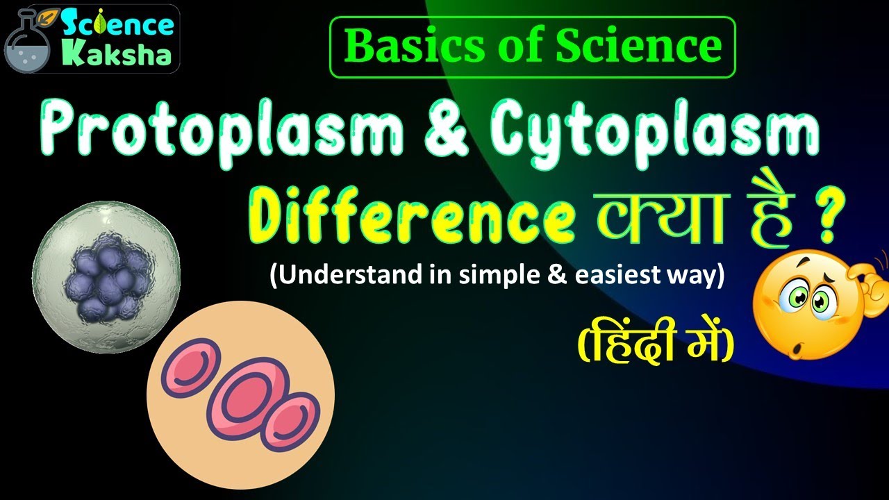 Protoplasm & Cytoplasm || Difference between protoplasm & cytoplasm ...