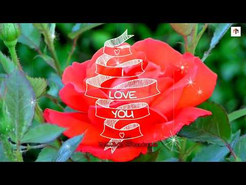Best Romantic Whatsapp Status With Rose Flower||Mera Dil Bhi Kitna Pagal Hai Whatsapp Status