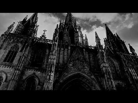 Paw deep Paw ( ULTRA SLOWED+REVERB)