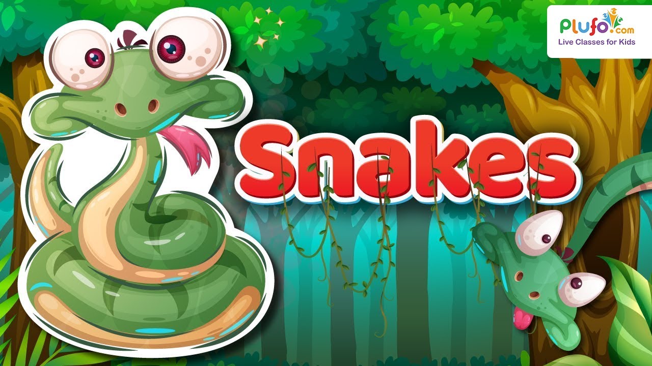 All About Snakes : Educational videos for toddlers | Always on Learning ...